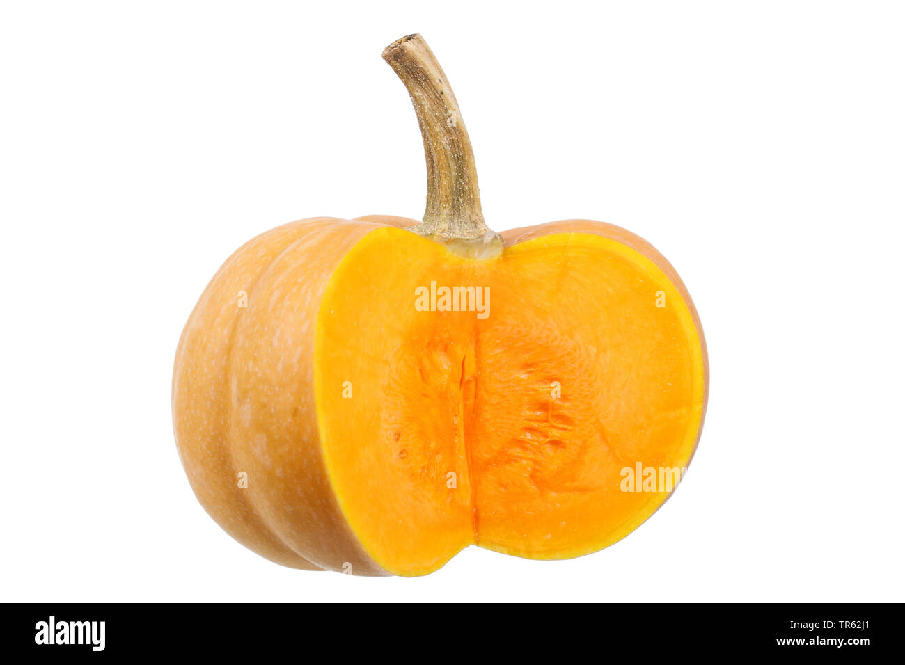 winter squash (Cucurbita moschata 'Mini Muskat', Cucurbita moschata ...