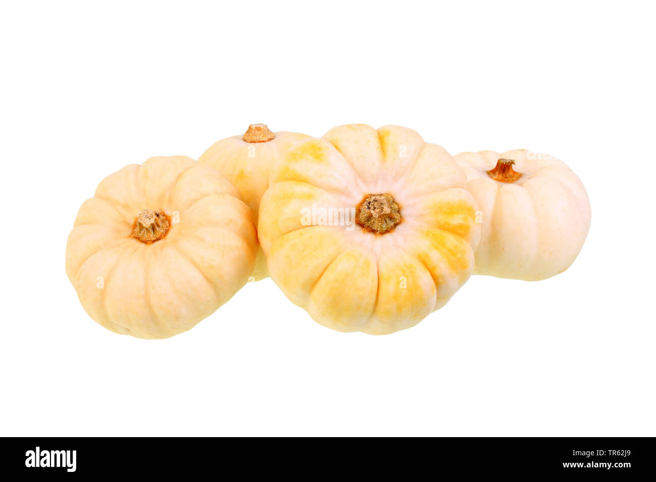 Baby boo squash Cut Out Stock Images & Pictures - Alamy