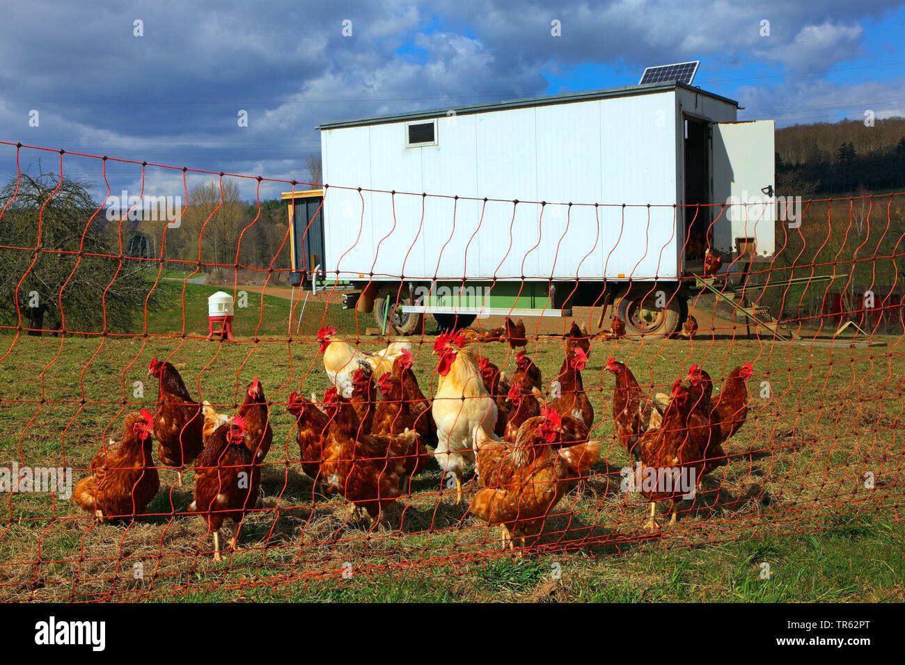 Poultry vehicle vehicles hi-res stock photography and images - Alamy