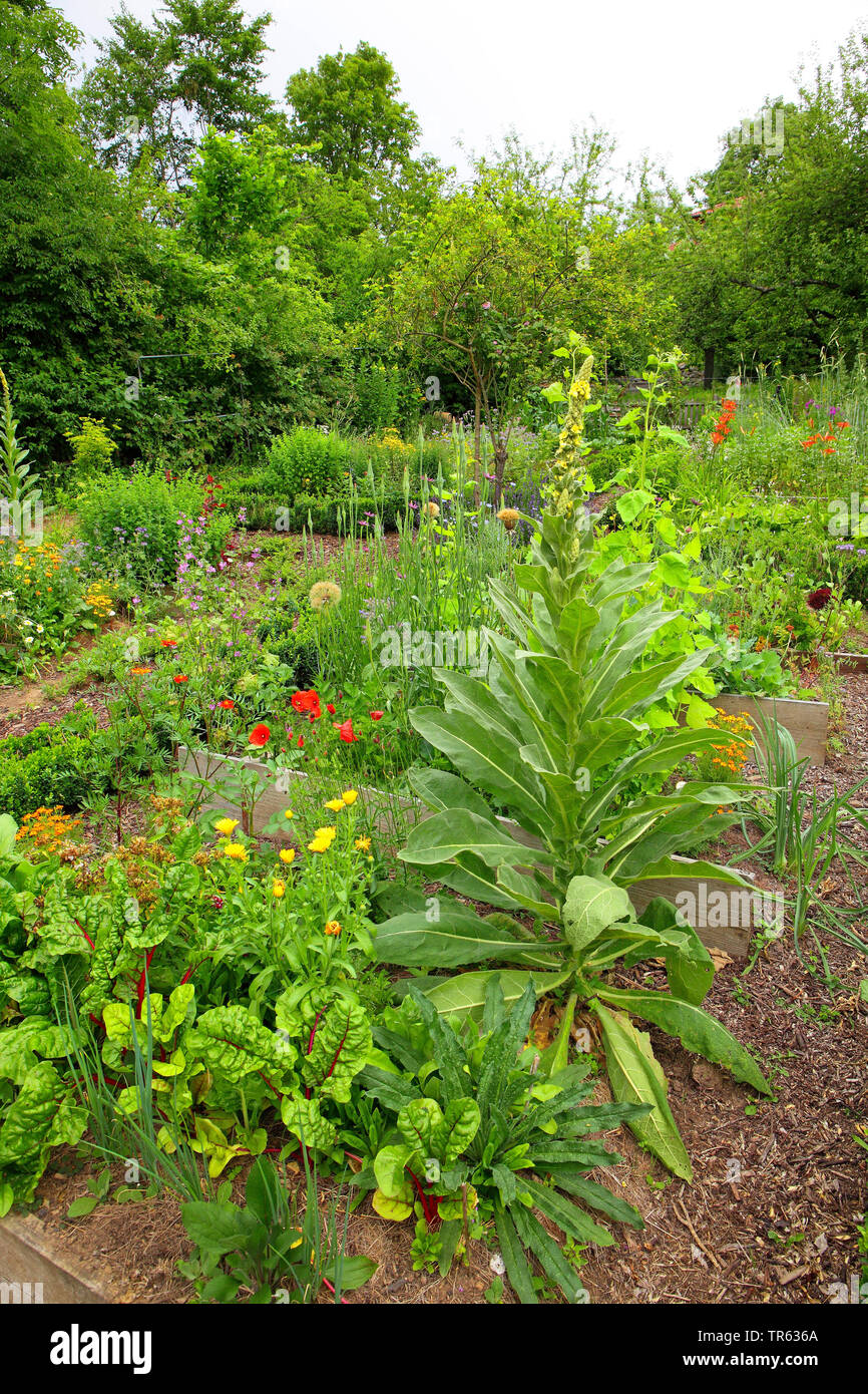 Rural gardens hi-res stock photography and images - Alamy