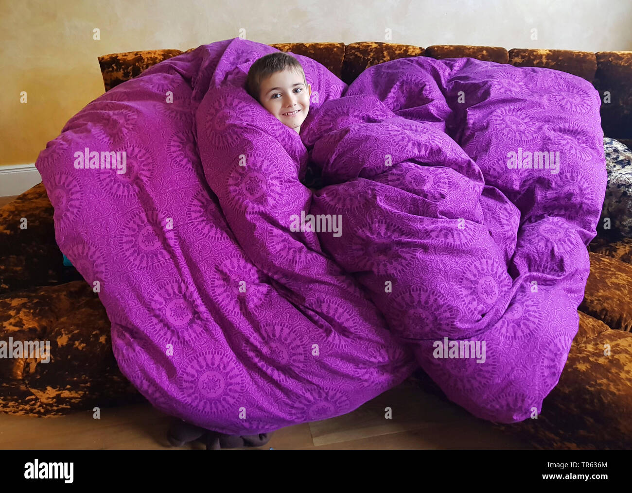 little boy with violet bedspread, Germany Stock Photo - Alamy