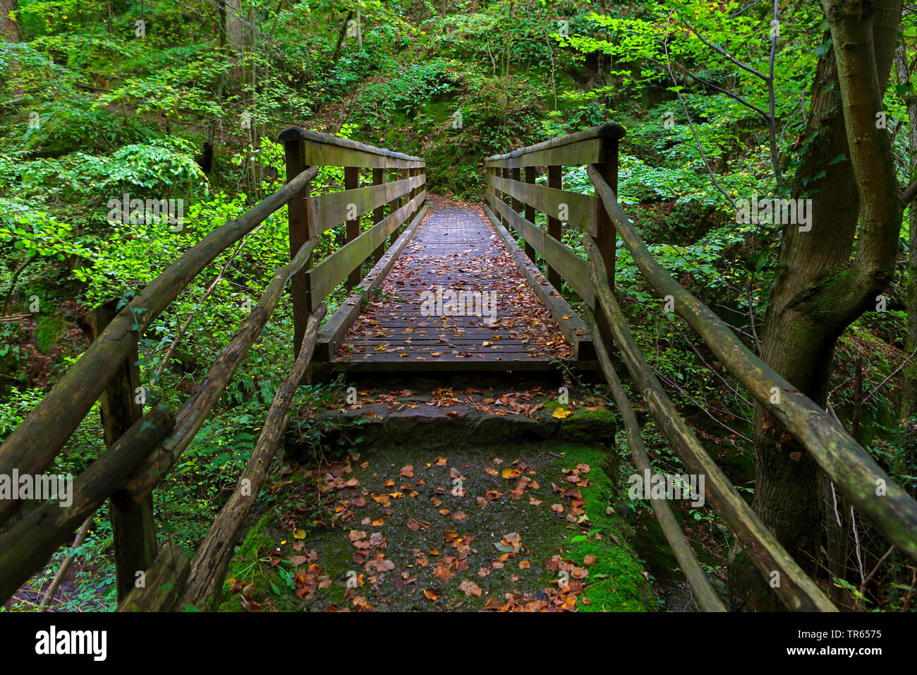 Pedestrian bridge over mountain hi-res stock photography and images - Alamy