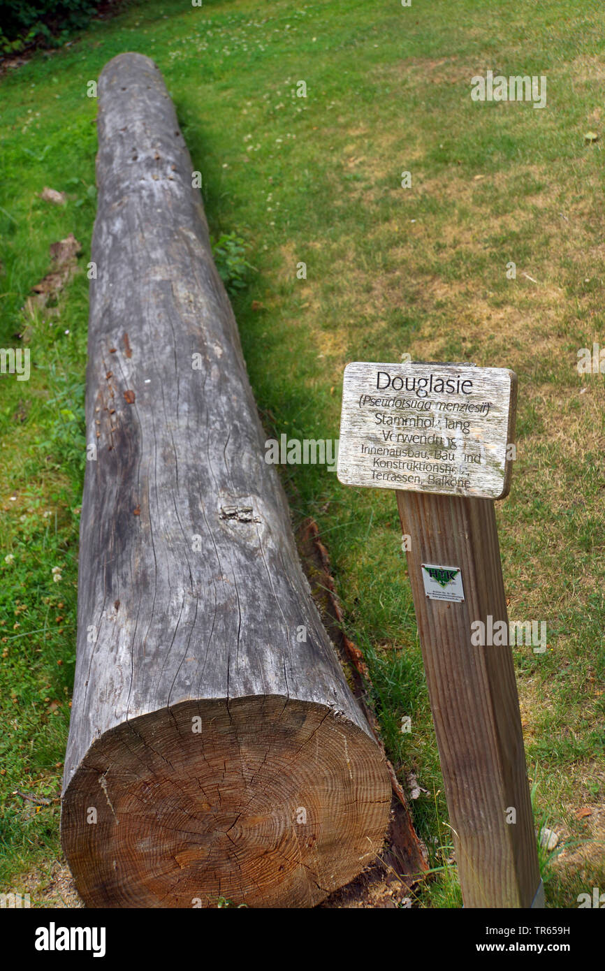 Rotting logs hi-res stock photography and images - Alamy
