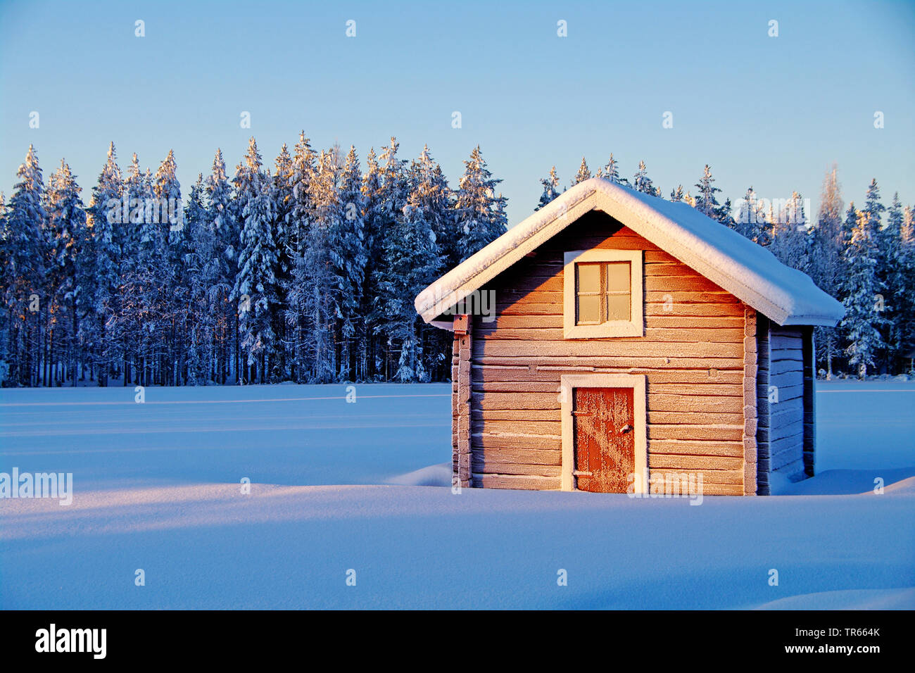 Light house winter hi-res stock photography and images - Alamy