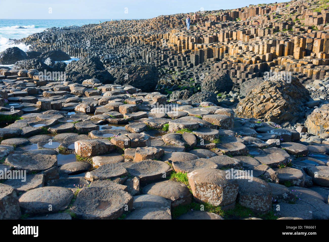 Basalt Ireland The Giant's Causeway In Northern Ireland. Hexagonal