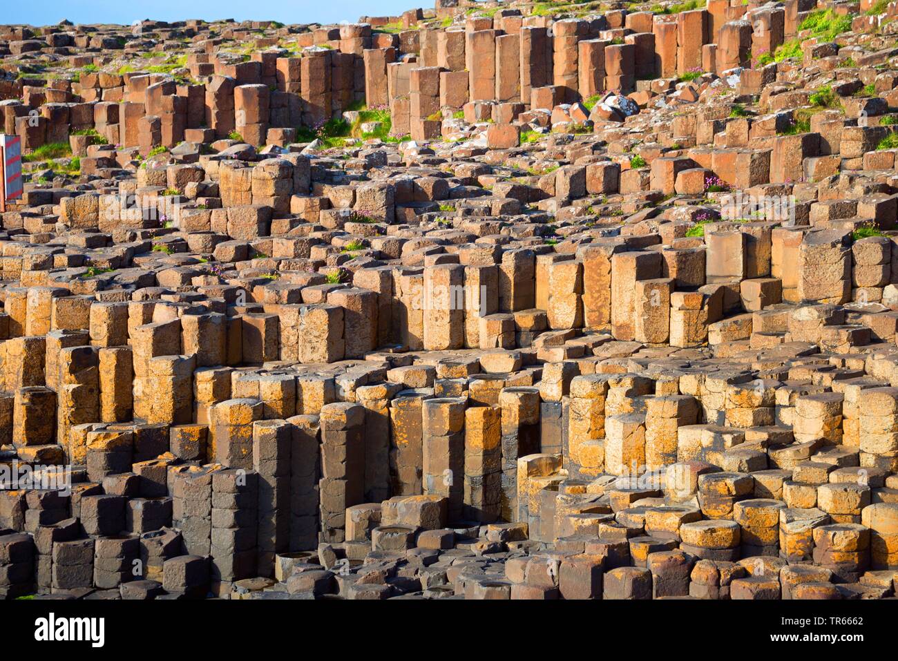basalt columns Giant's Causeway, Ireland, Antrim, Northern Ireland ...