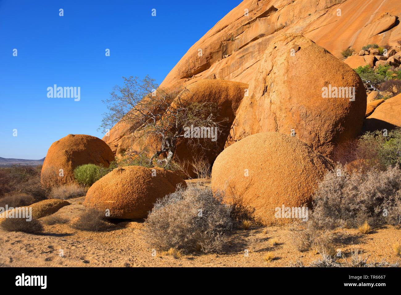 Inselberg monadnock granite hi-res stock photography and images - Alamy