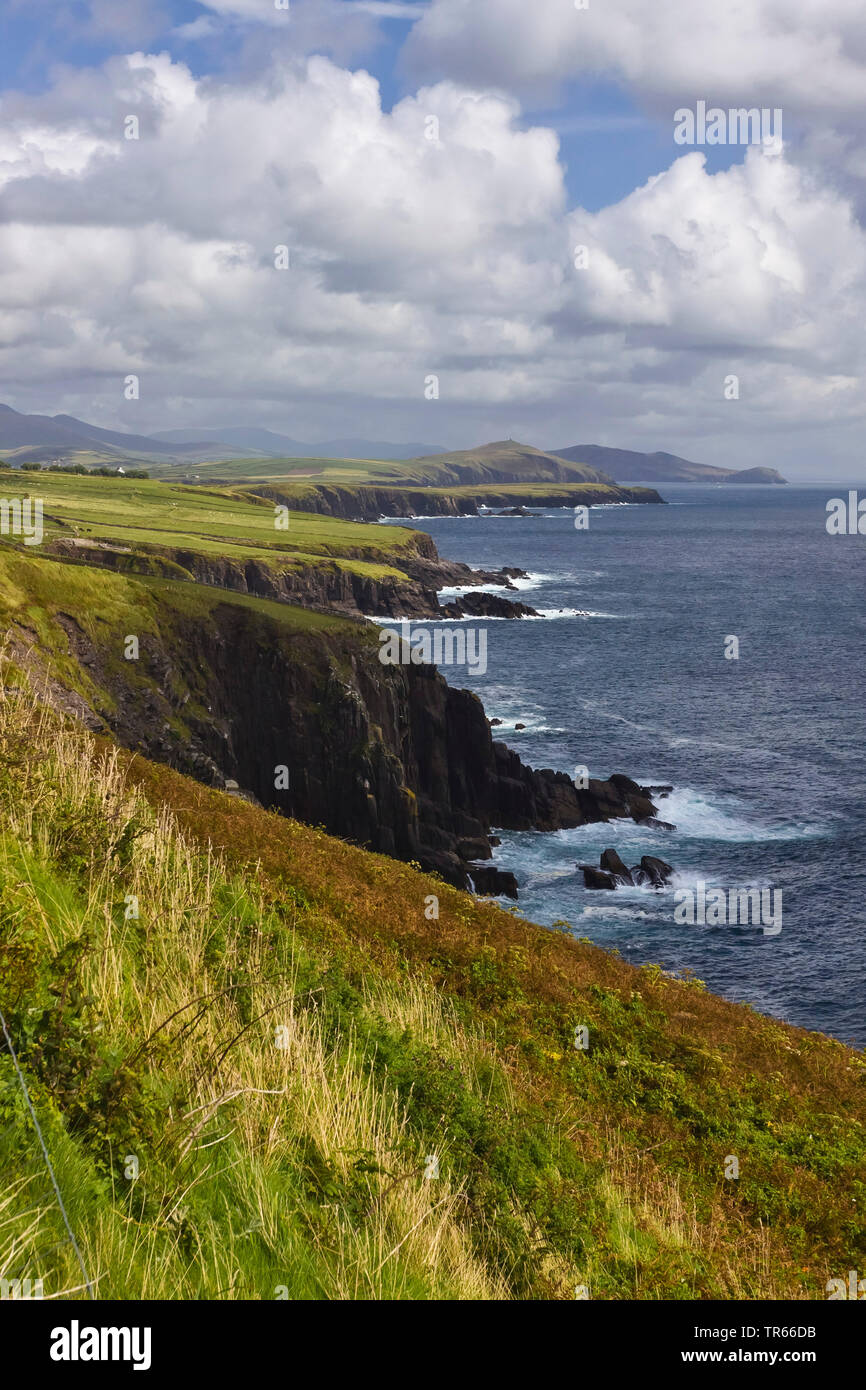 Rocky coast of Dingle peninsula, Ring of Kerry, Ireland, County Kerry ...