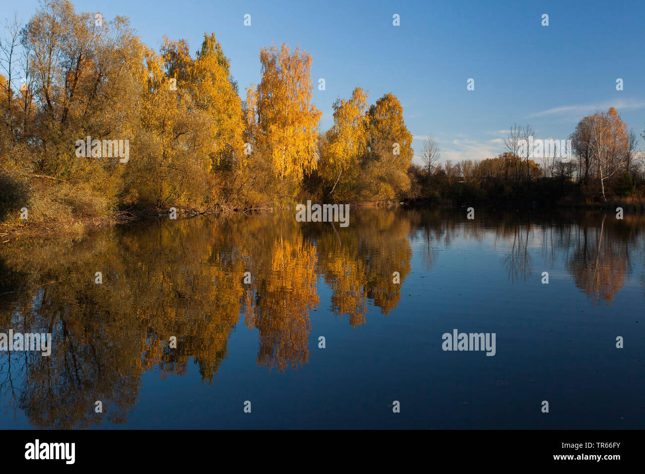 Reflection autumn colours trees in hi-res stock photography and images ...