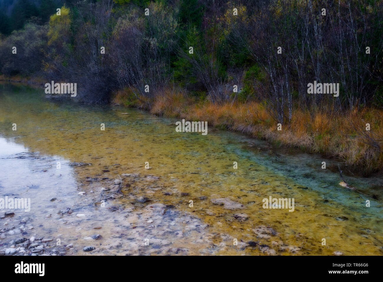 riverside of river Isar, Germany, Bavaria Stock Photo - Alamy