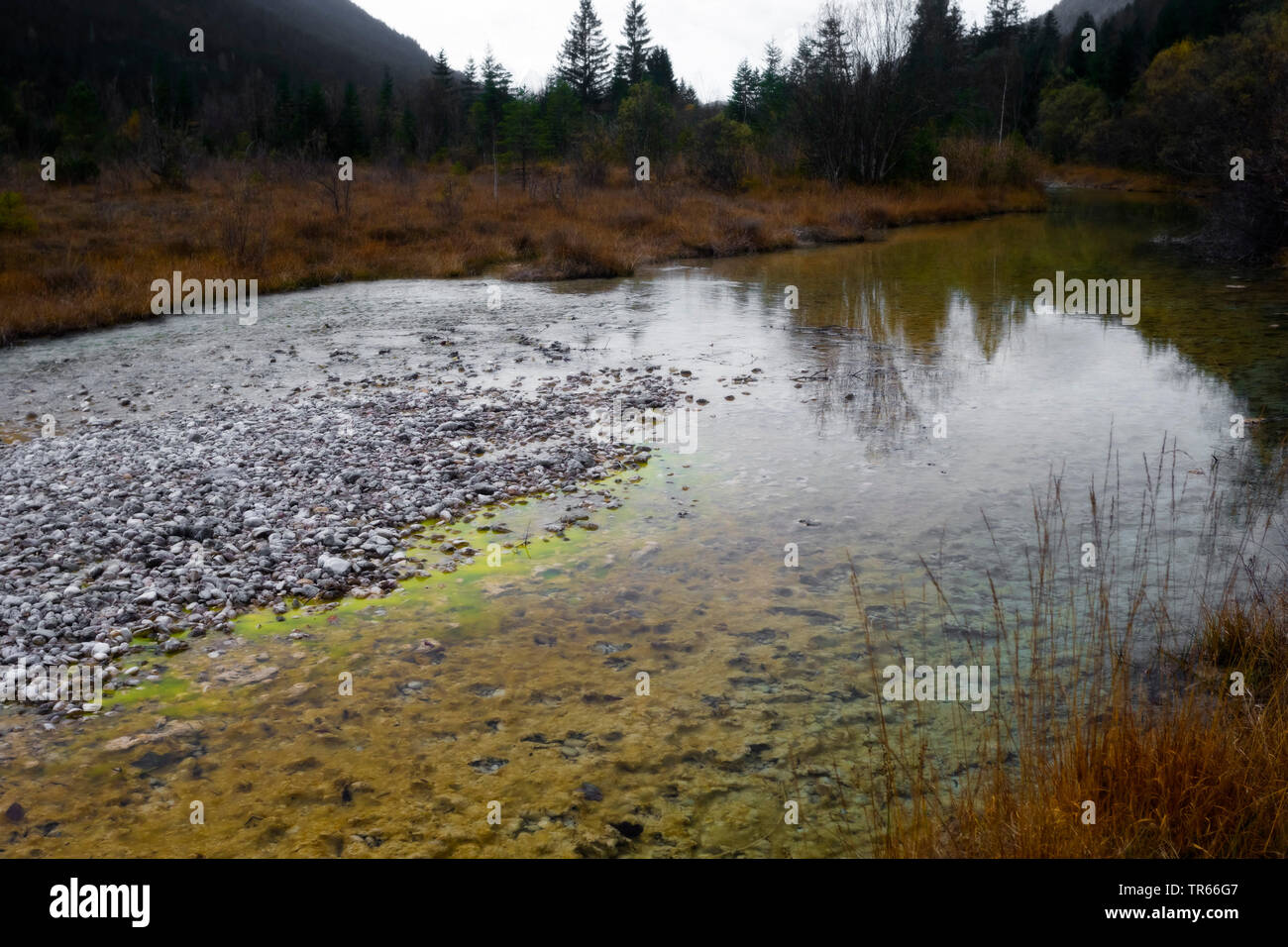 riverside of river Isar, Germany, Bavaria Stock Photo - Alamy