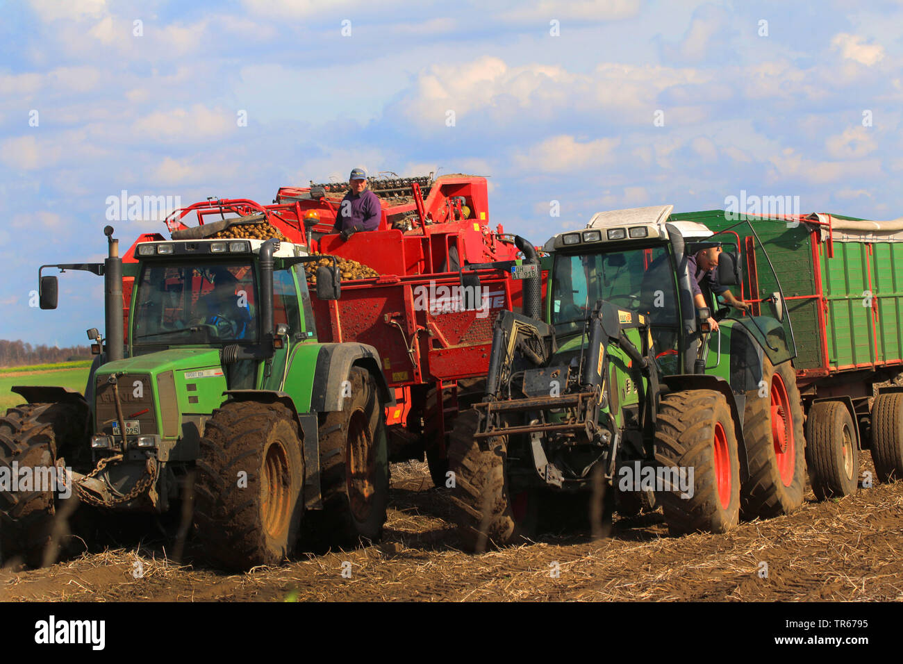 Potato harvester and trolley hi-res stock photography and images - Alamy