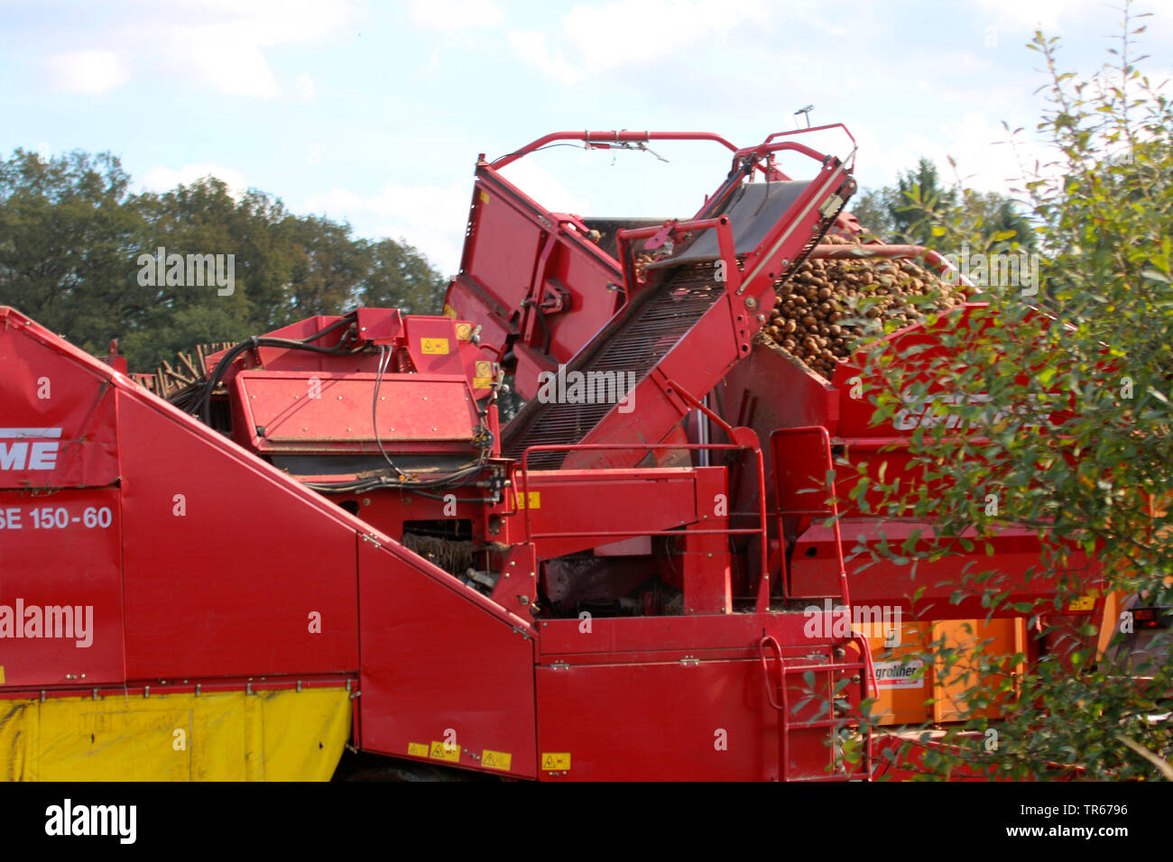 potato harvest, loading harvesting trolley, Germany Stock Photo - Alamy