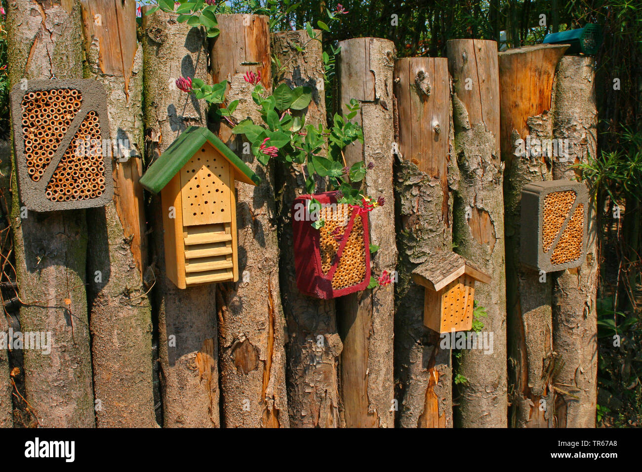 Wooden house animals fence hi-res stock photography and images - Alamy
