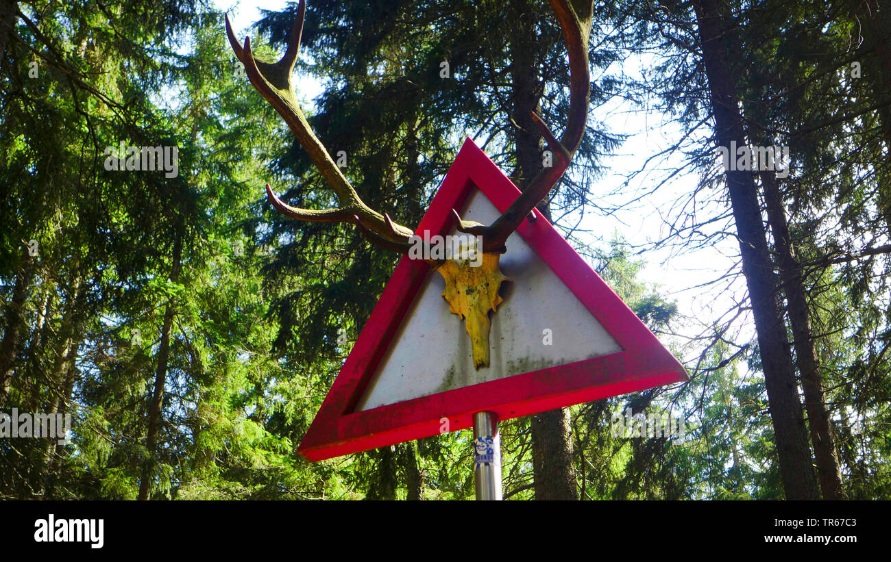 Dangerous animals sign hi-res stock photography and images - Alamy