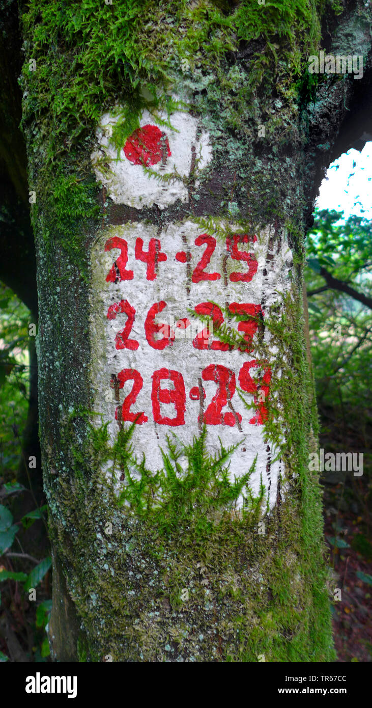 Red sign for hiker hi-res stock photography and images - Alamy