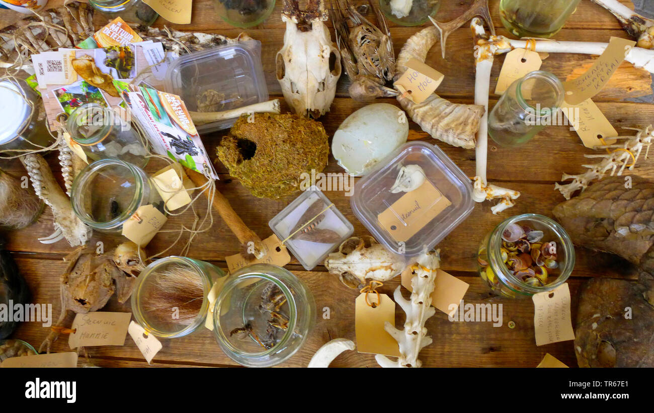 Collection of collections hi-res stock photography and images - Alamy