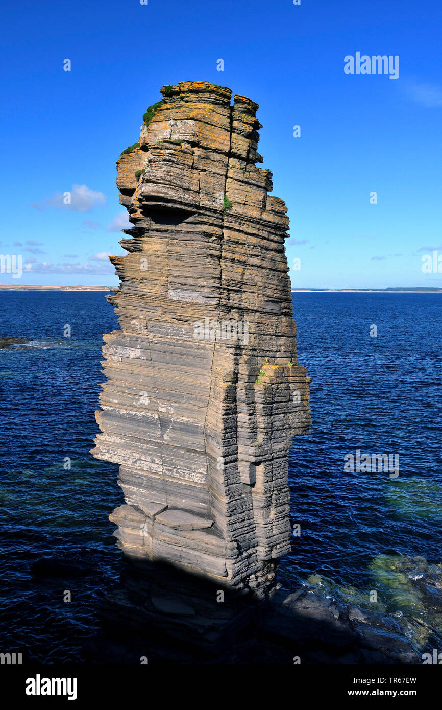 sea stack by castle girnigoe sinclair, United Kingdom, Scotland ...