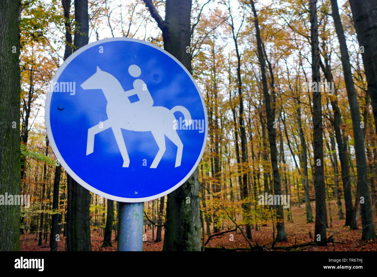 horse trail sign in a forest, Germany Stock Photo - Alamy
