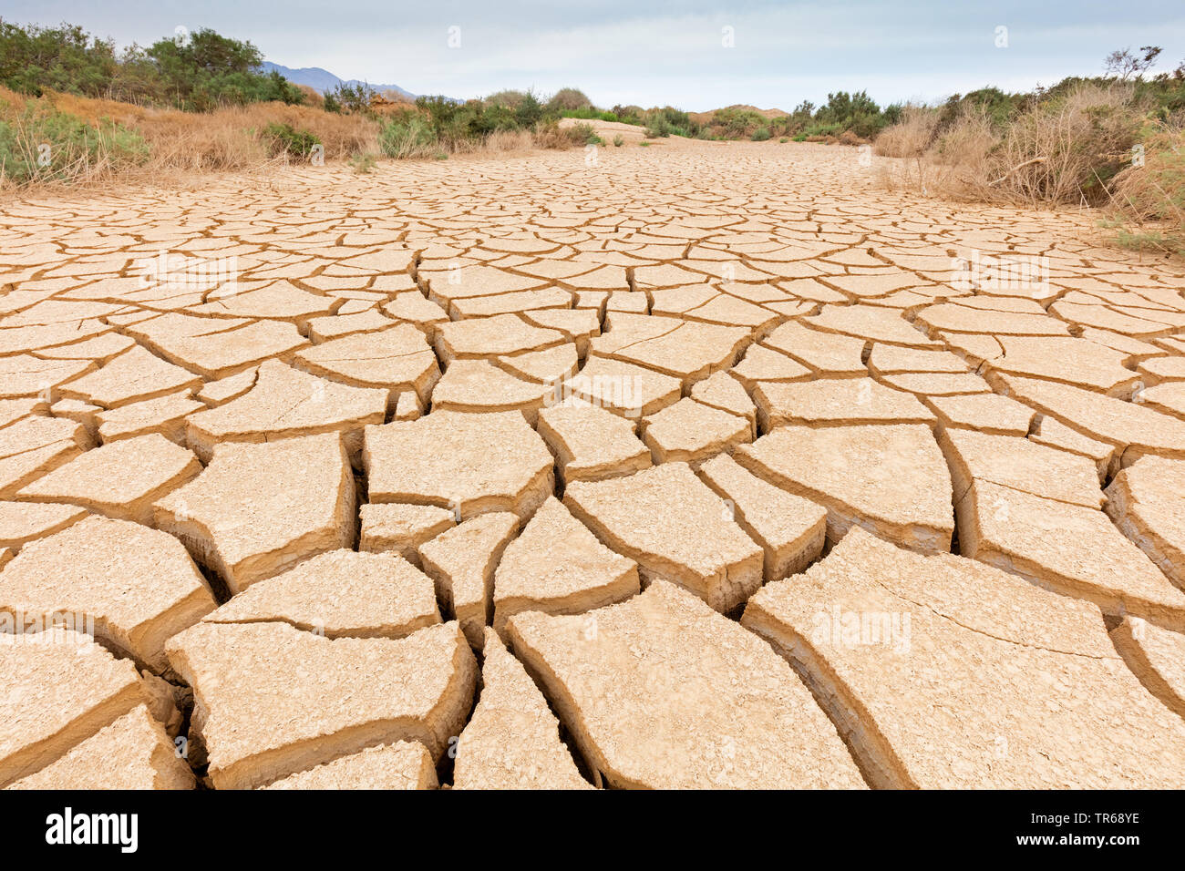 dry soil of a former acre, Israel Stock Photo - Alamy