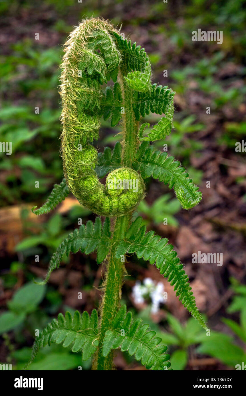 Development vertical hi-res stock photography and images - Alamy