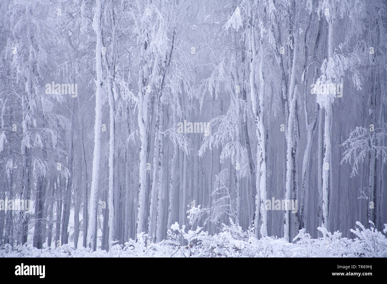 Slovakian landscapes hi-res stock photography and images - Alamy