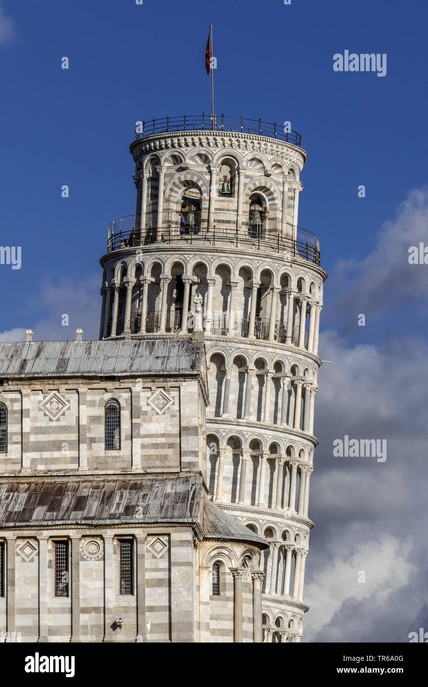 Leaning Tower of Pisa behind the cathedral, Italy, Tuscany, Pisa Stock ...