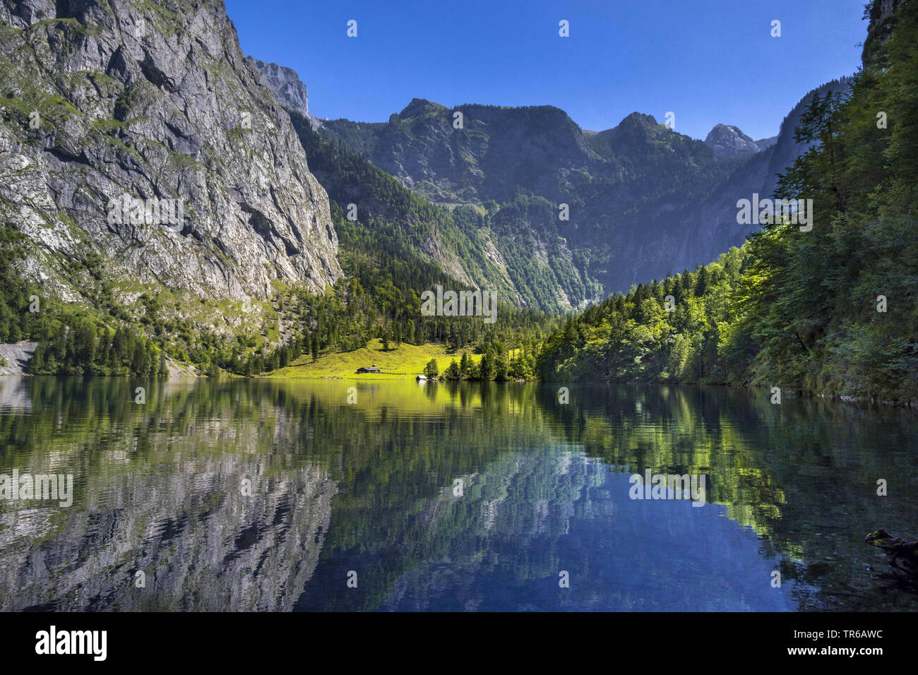 Obersee Lake in the Berchtesgaden National Park, Bavaria, Germany ...