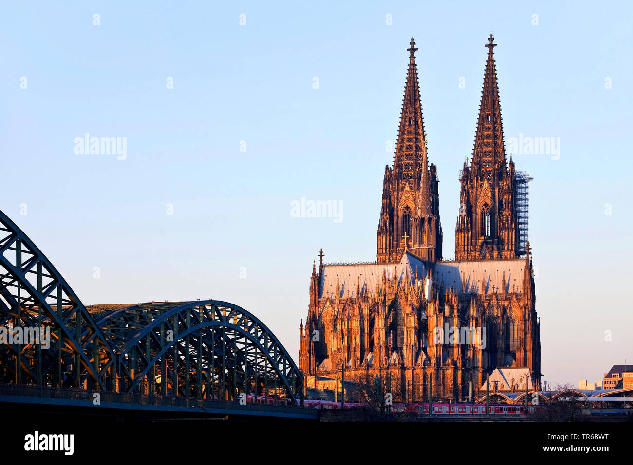 Koelner dom cologne cathedral in hi-res stock photography and images ...