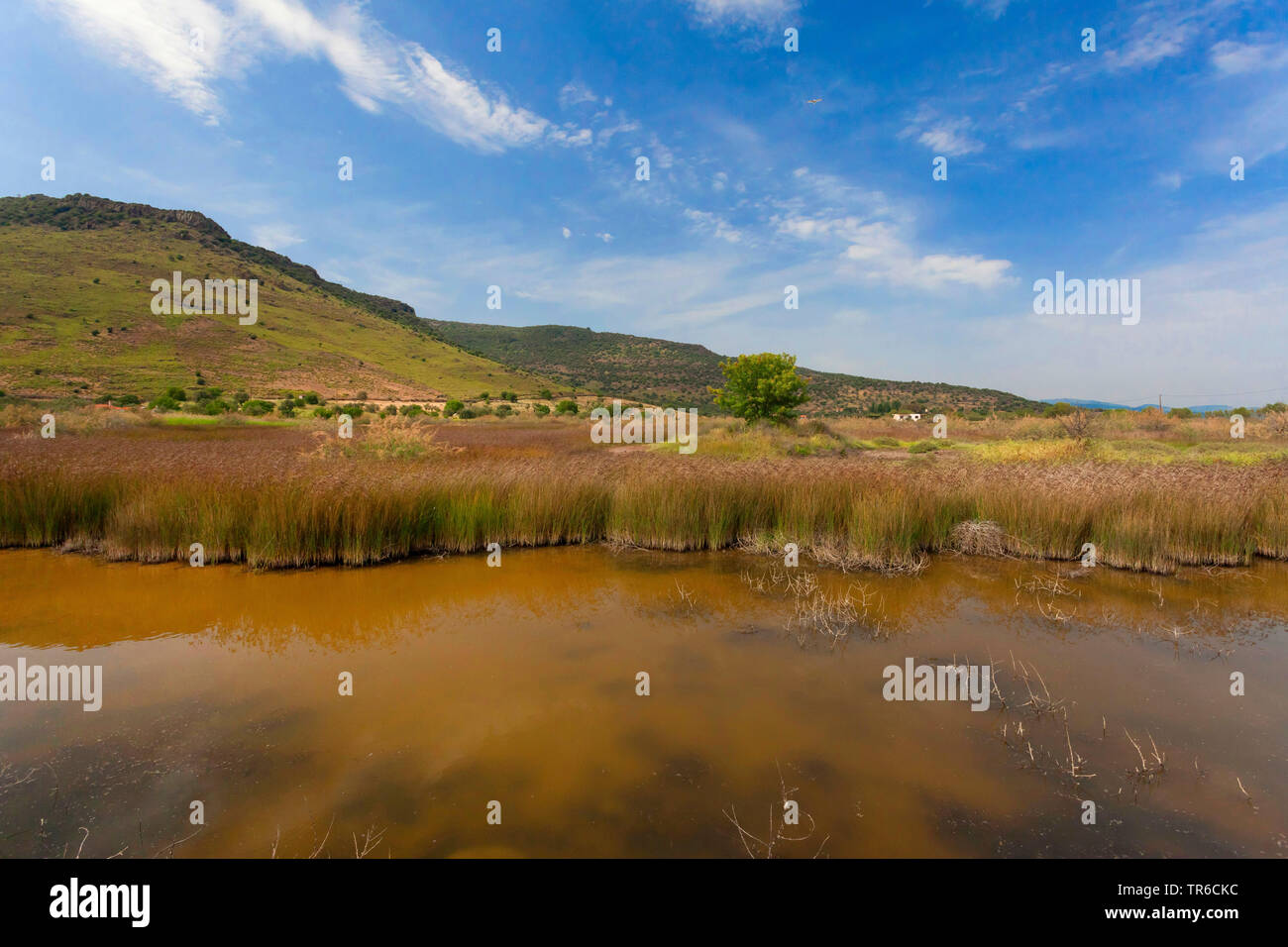 Bay of kalloni hi-res stock photography and images - Alamy