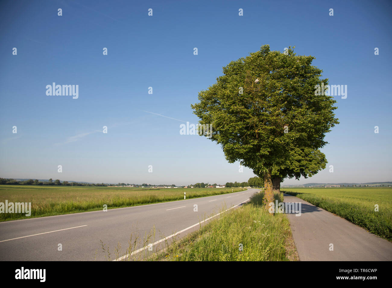 Lime cycle hi-res stock photography and images - Alamy