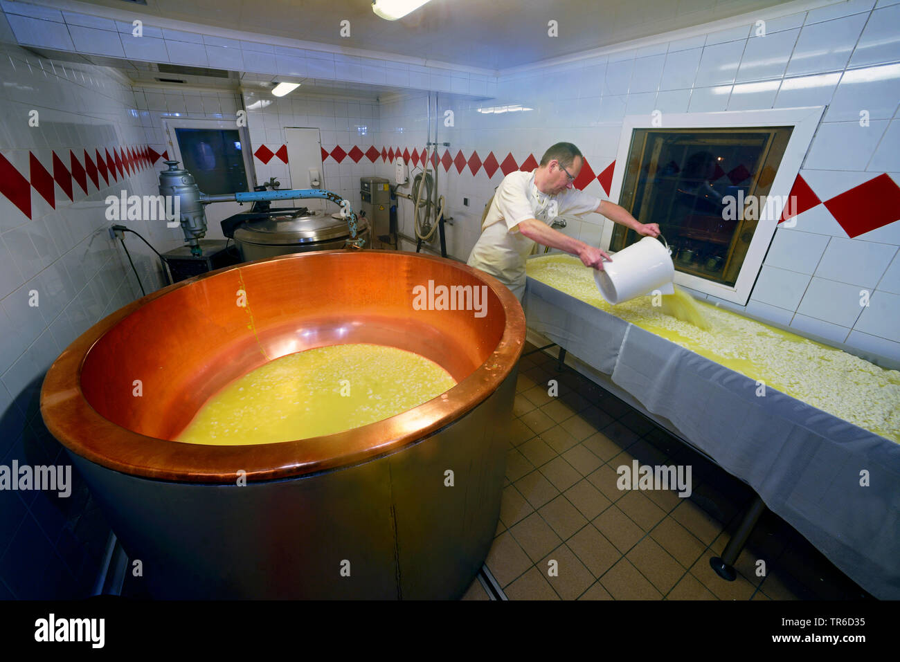 Cheese production hi-res stock photography and images - Alamy