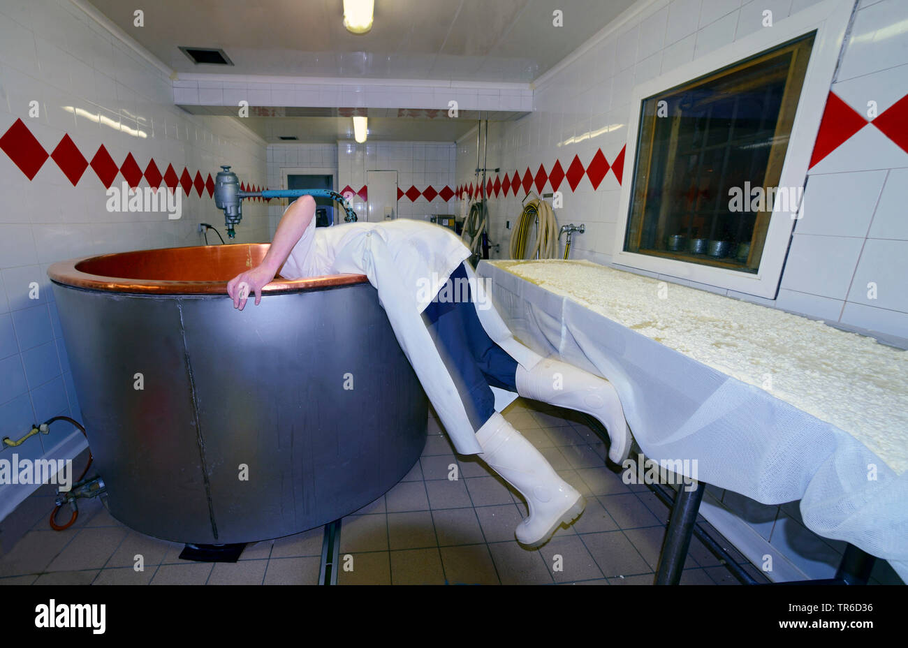 Cheese production hi-res stock photography and images - Alamy