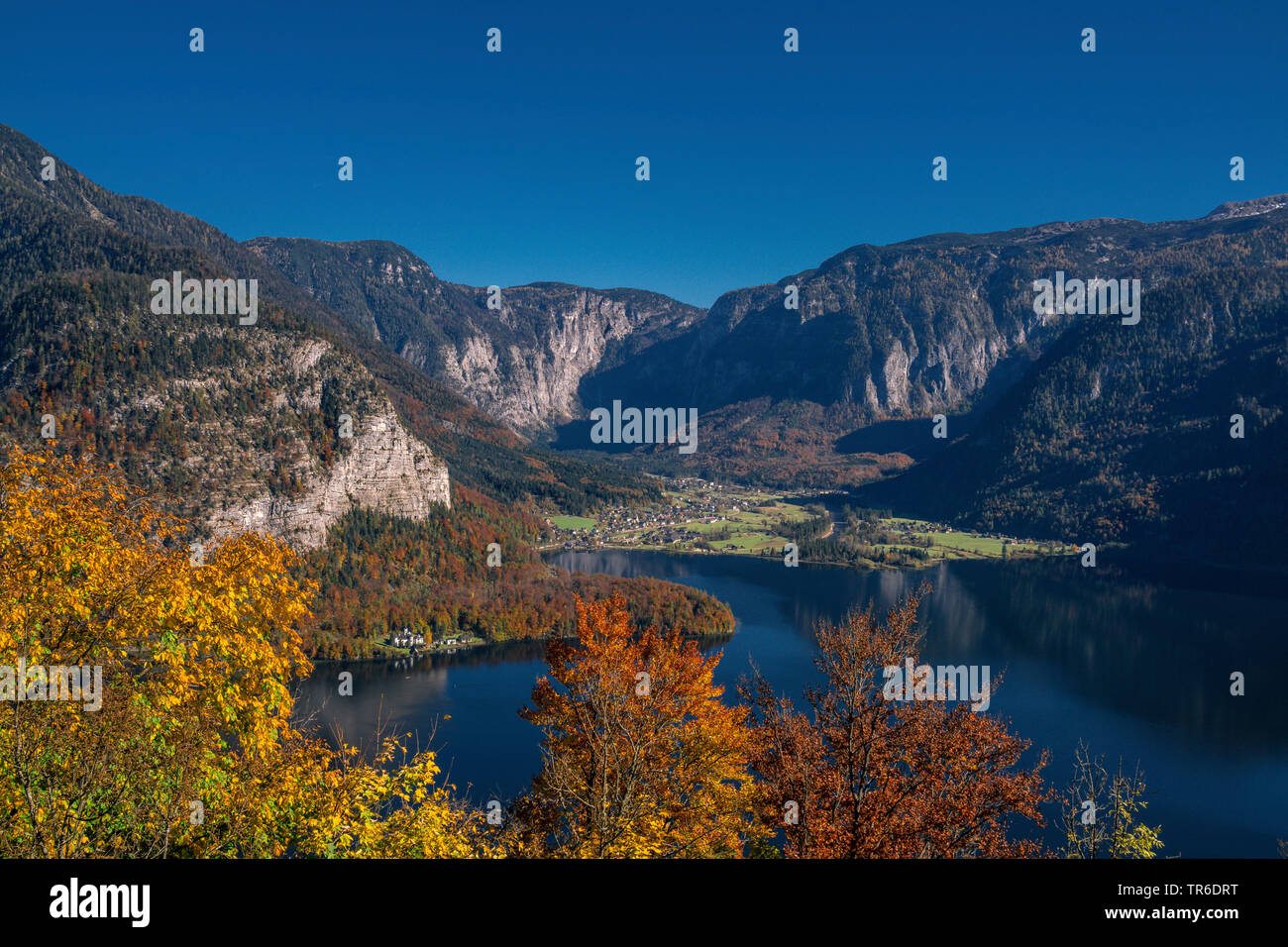 lake Halstaetter See, Austria, Upper Austria, Hallstadt Stock Photo - Alamy