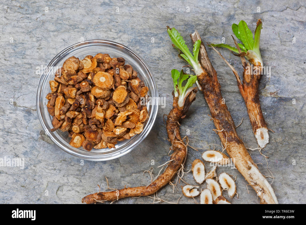 Chicory root hi-res stock photography and images - Alamy