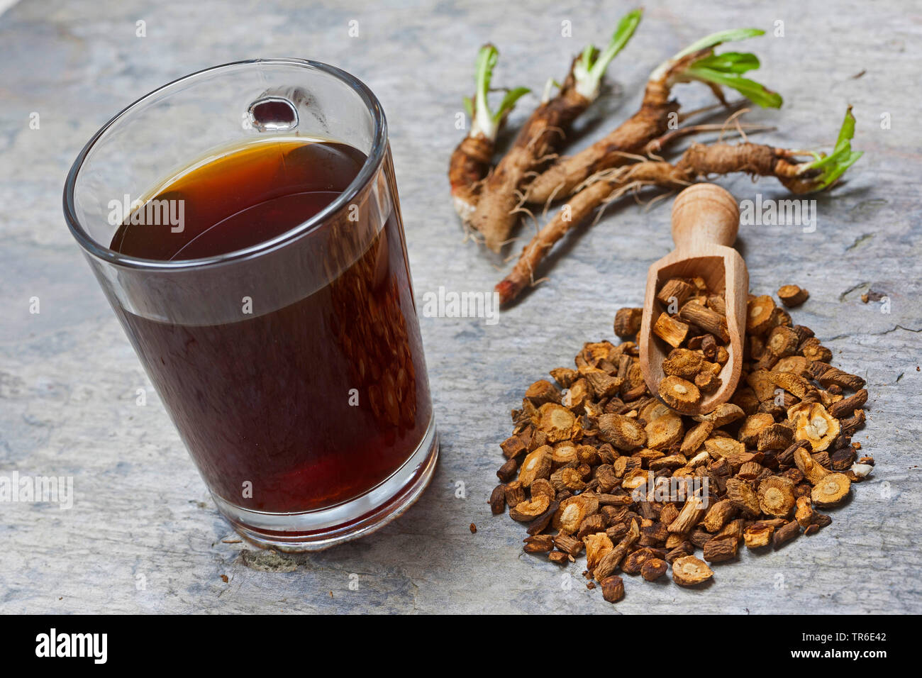 blue sailors, common chicory, wild succory (Cichorium intybus), coffe ...