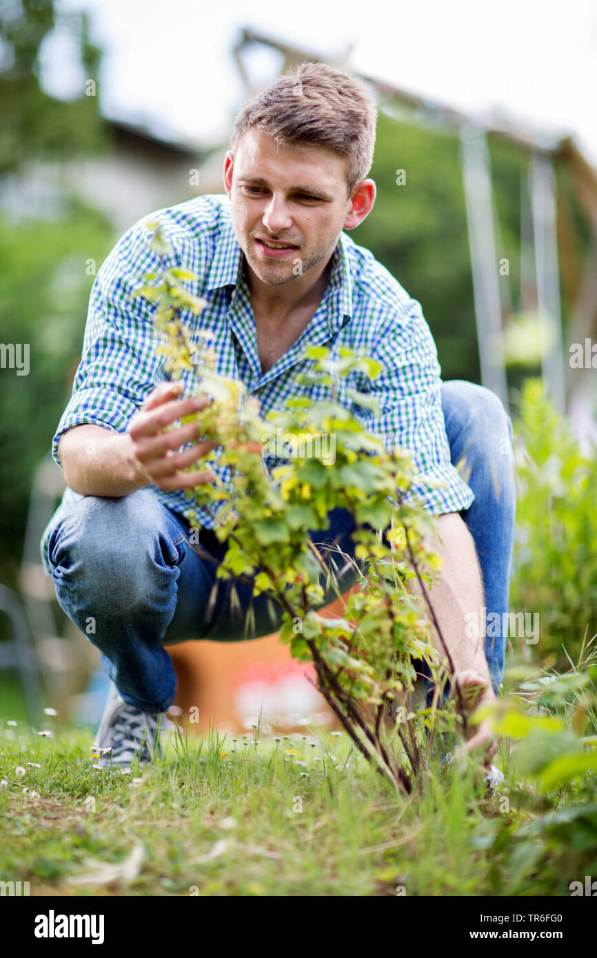 Bush man hi-res stock photography and images - Alamy