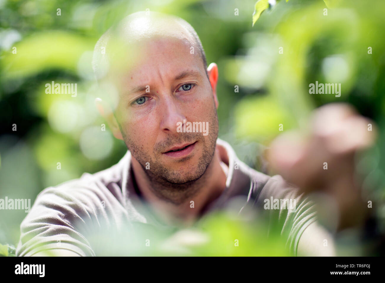 man in a garden, portrait, Germany Stock Photo - Alamy