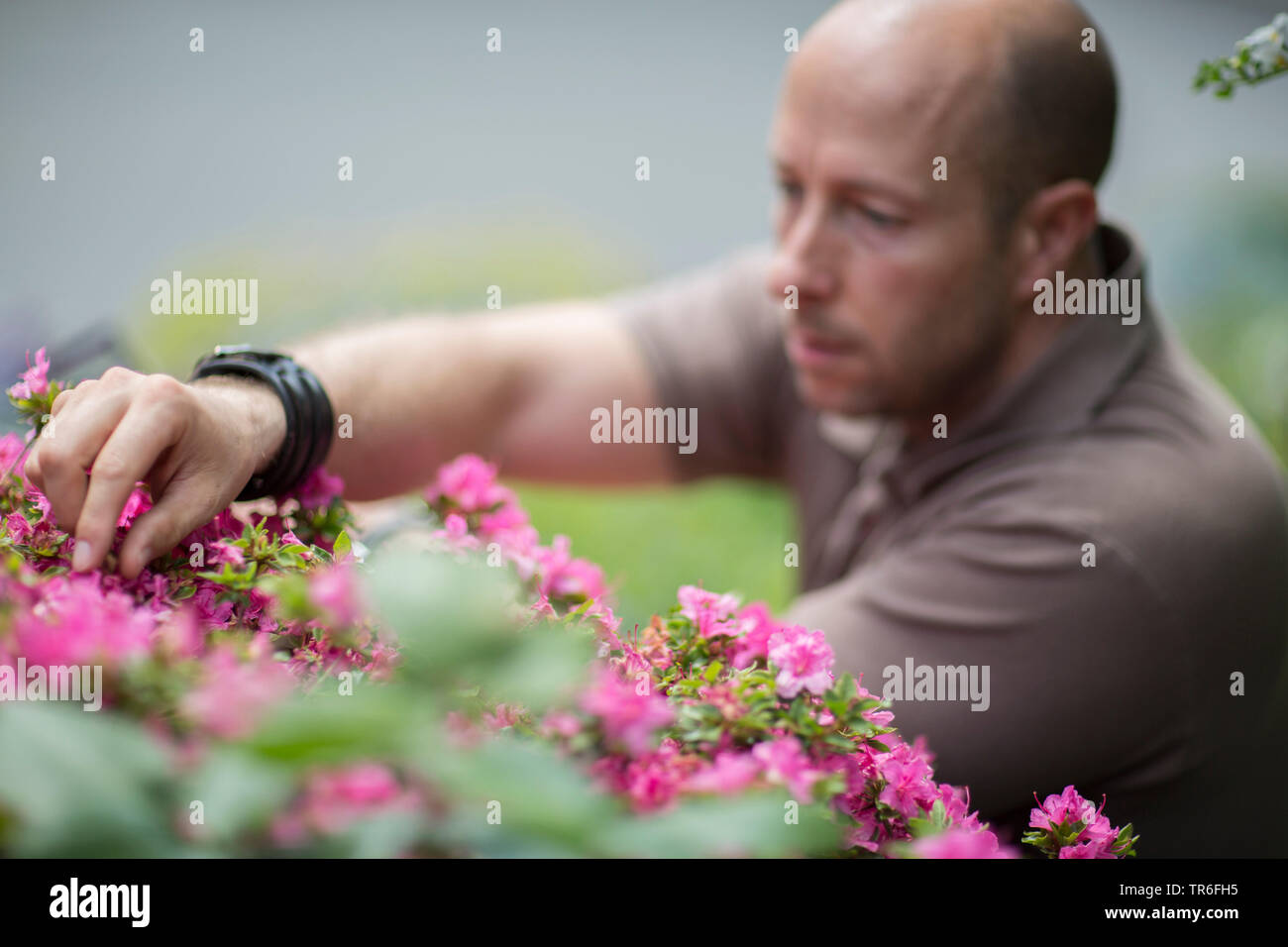 Caring man hi-res stock photography and images - Alamy