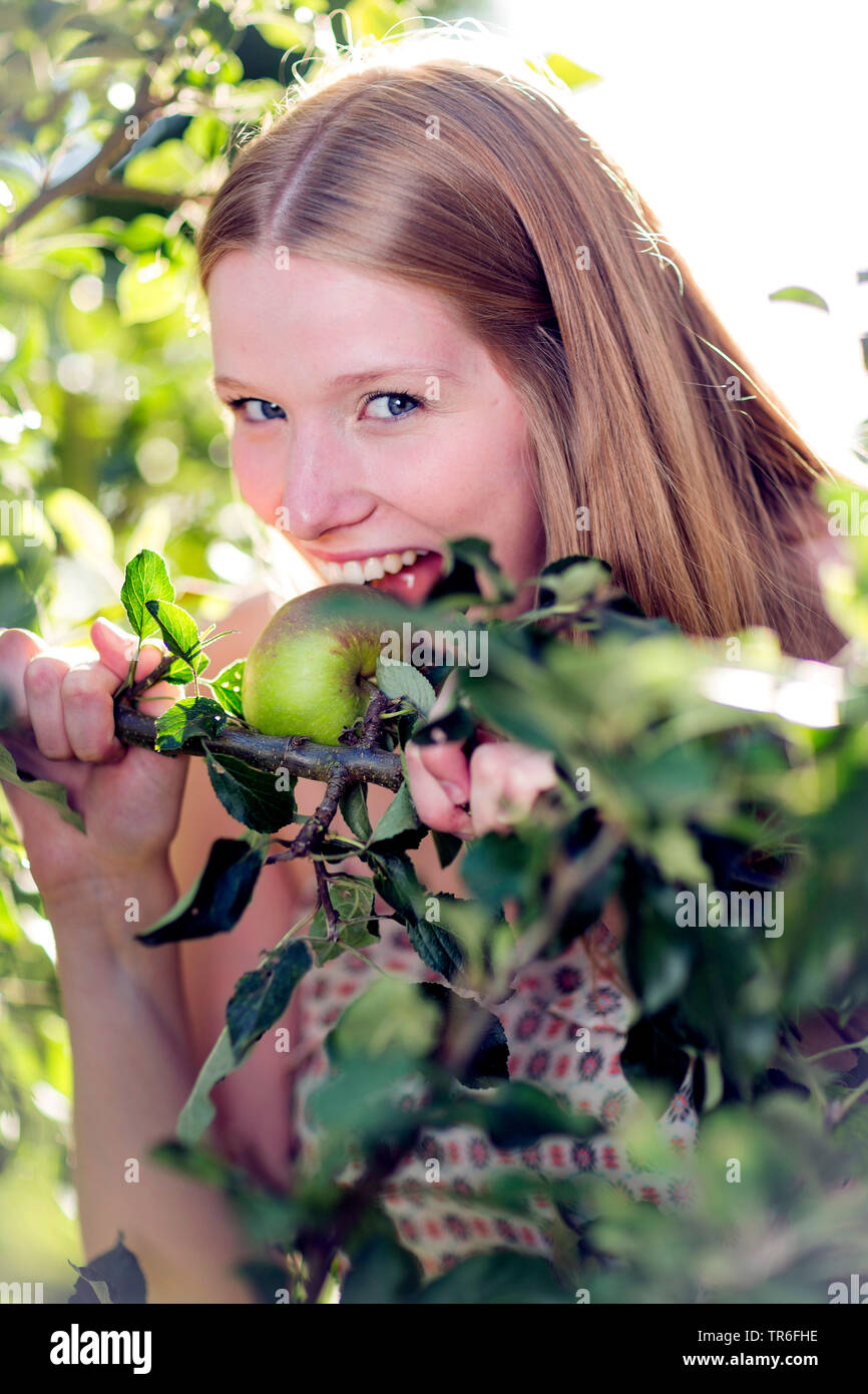 apple tree (Malus domestica), young woman biting in an apple at an ...
