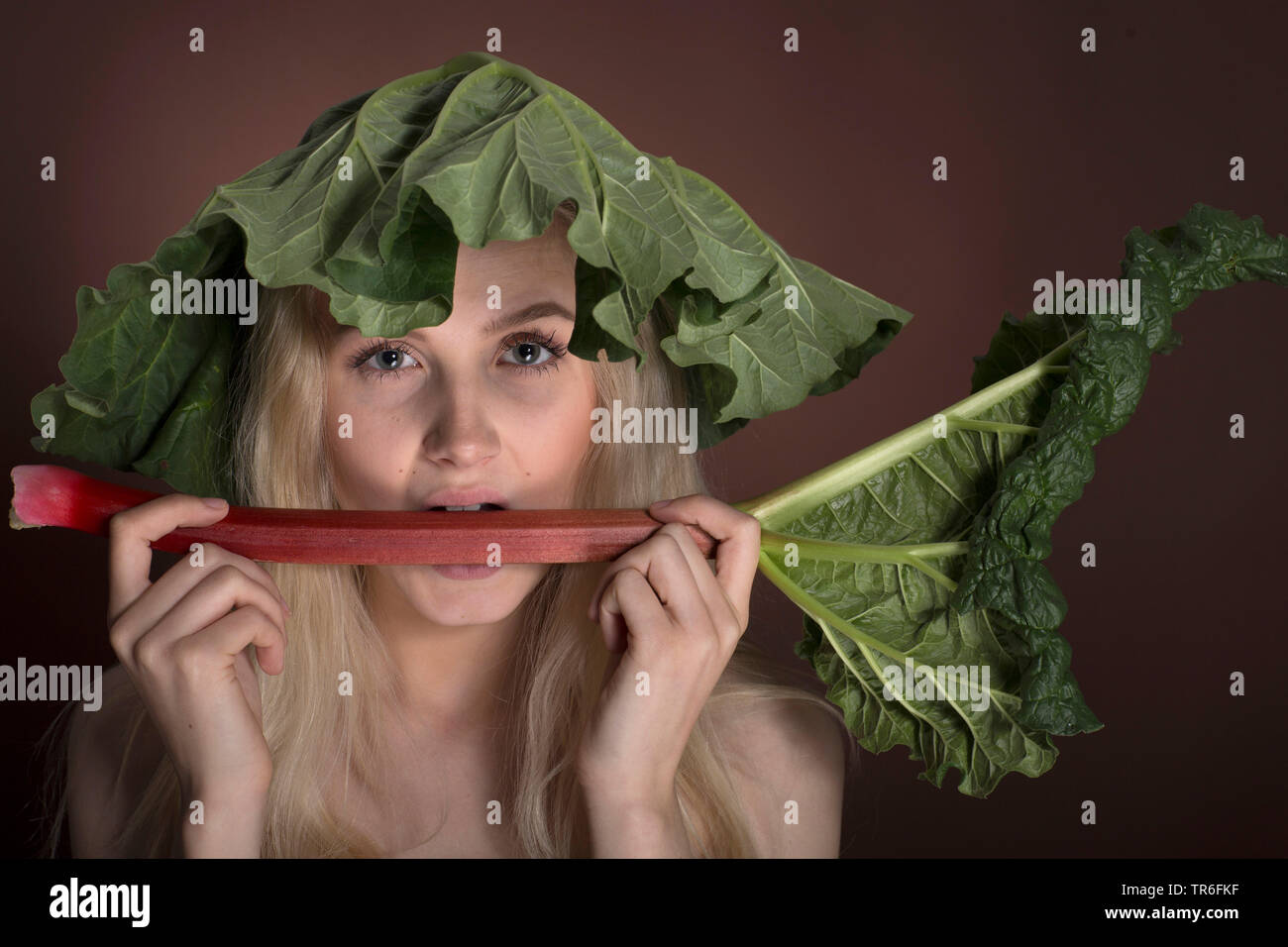 Rhubarb stems hi-res stock photography and images - Alamy