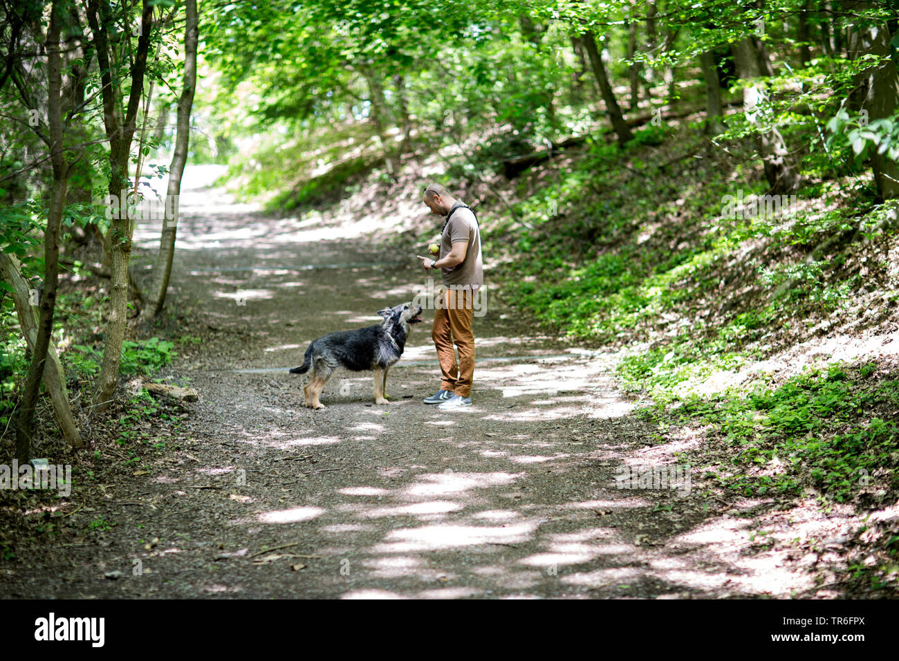 Man walking with sheepdog hi-res stock photography and images - Alamy