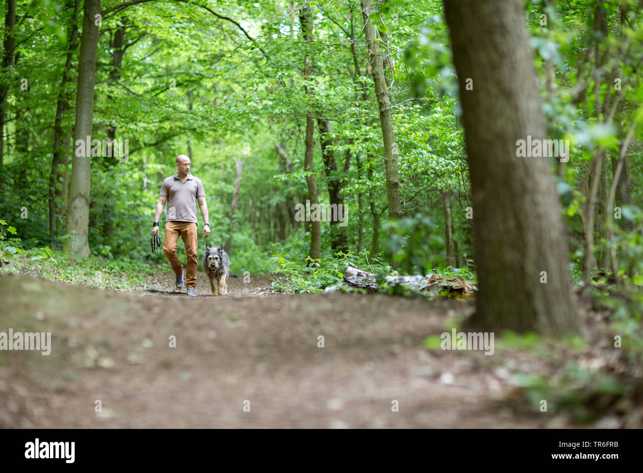 Man walking with sheepdog hi-res stock photography and images - Alamy