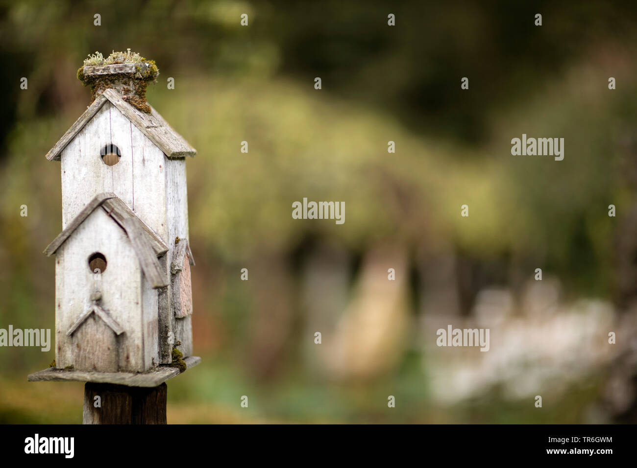 old bird box, Germany Stock Photo - Alamy