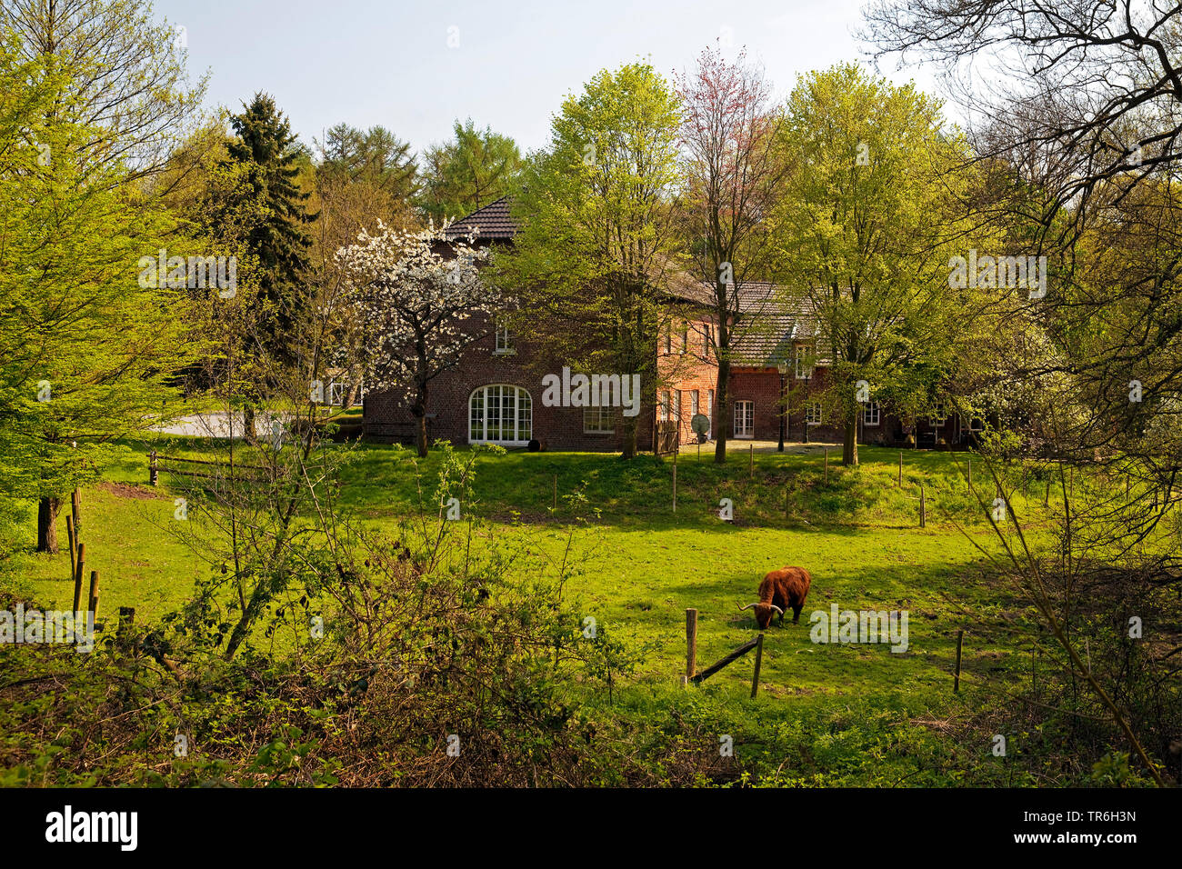 Waldhufendorf hi-res stock photography and images - Alamy