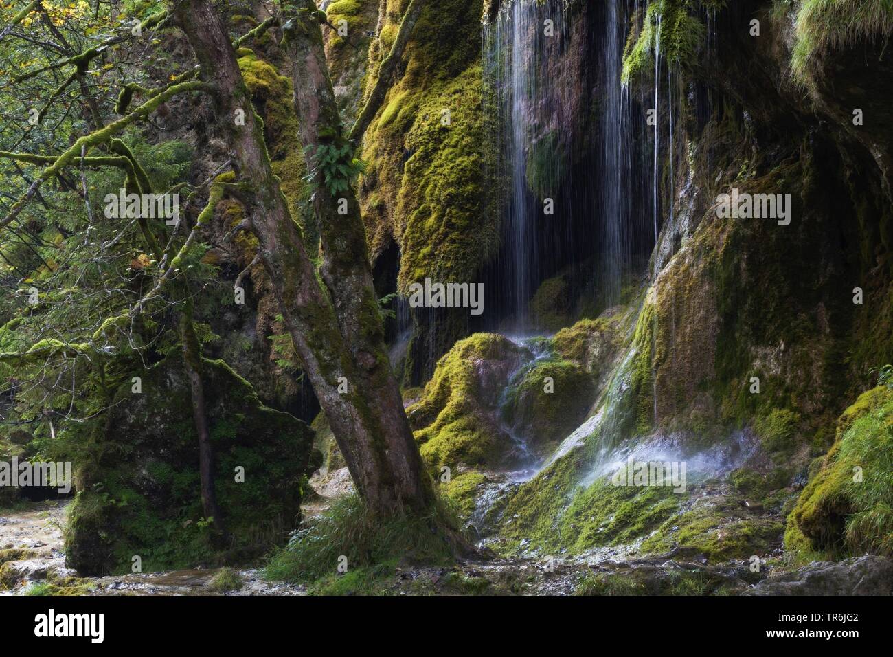River ammer hi-res stock photography and images - Alamy
