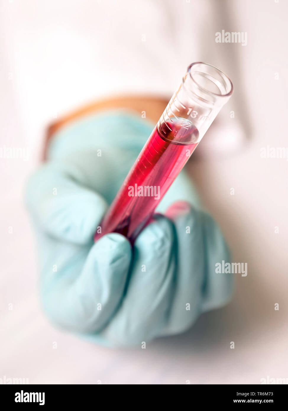 test tube with red fluid in the hand of a laboratory assistant, Germany ...