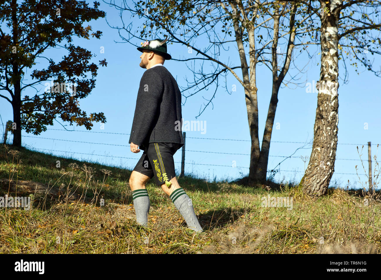 traditional clothed Bavarian man with Tyrolean hat walking on an alpine ...