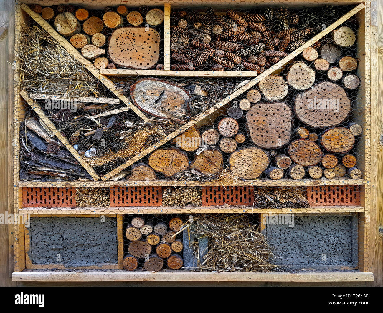 Handmade insect house hi-res stock photography and images - Alamy