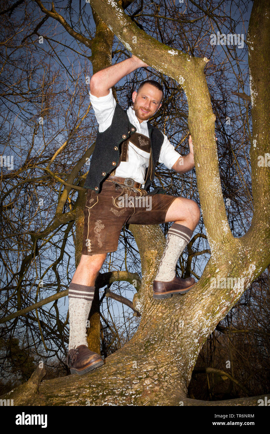 traditional clothed Bavarian man standing in a tree and looking down ...